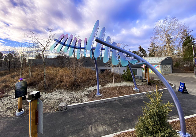 Calgary Zoo – Wild Canada Aurora Soundscape & AV - Digital Interactive ...