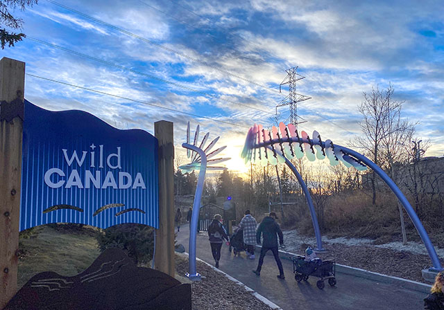 Calgary Zoo – Wild Canada Aurora Soundscape & AV - Digital Interactive ...