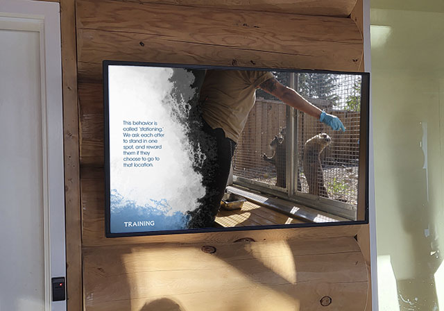 Calgary Zoo – Wild Canada AV Media & Interactive - Digital Interactive ...