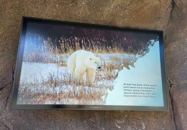 Calgary Zoo – Wild Canada AV Media & Interactive - Digital Interactive ...