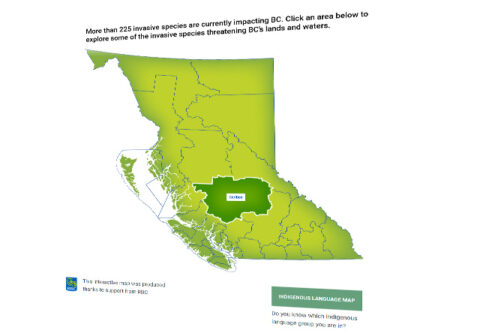 ISCBC Digital Interactive Map for BC Invasive Species - Digital ...